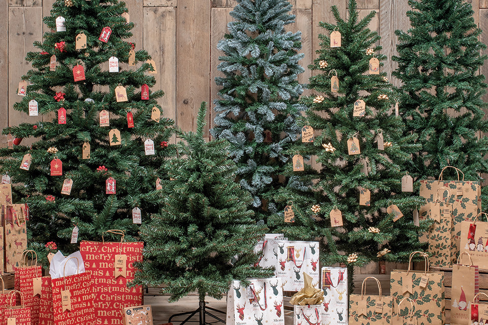 Christmas Trees – Cherry Lane