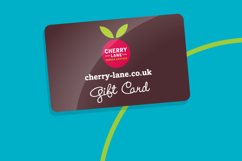 Gift Cards – Cherry Lane