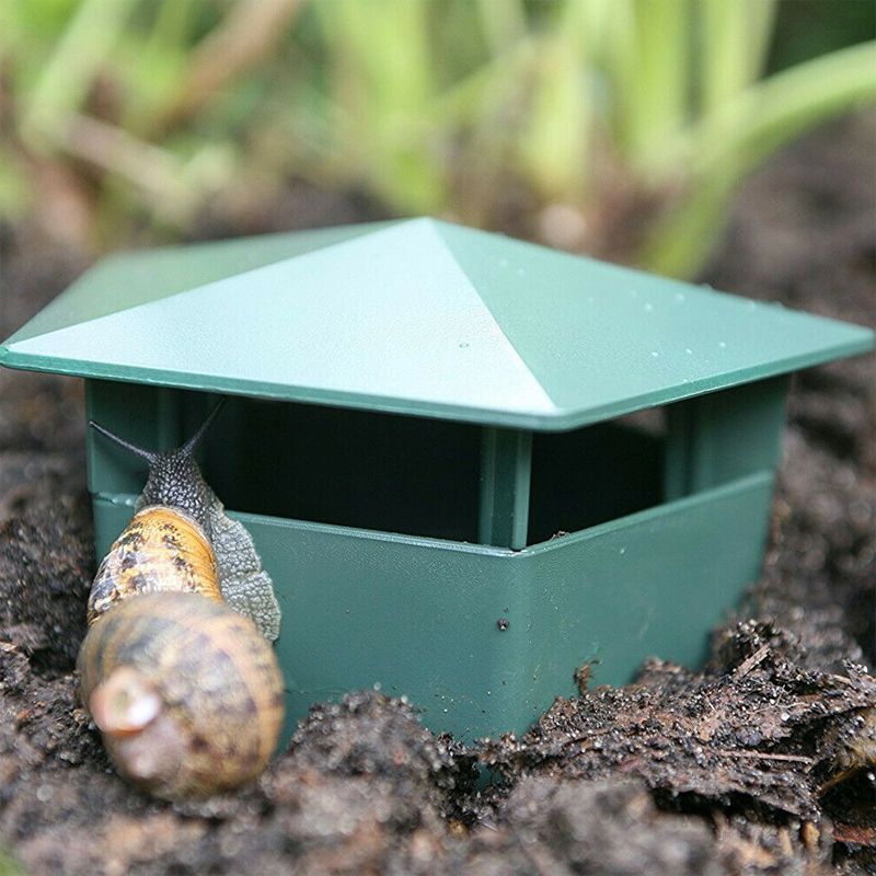 Growing Patch 2 Pack Slug And Snail Traps – Cherry Lane