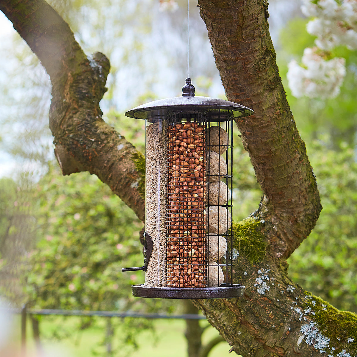 Trinity Seeds Nuts Fat Balls Bird Feeder By Tom Chambers only 24.99 ...
