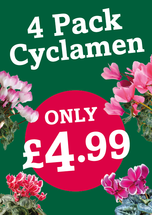 Cherry Lane - Your Local Value Garden Centre