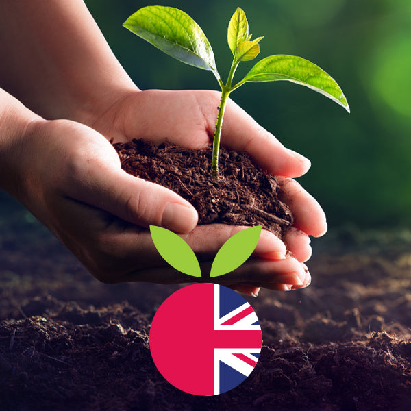 Cherry Lane Podington - Wellingborough