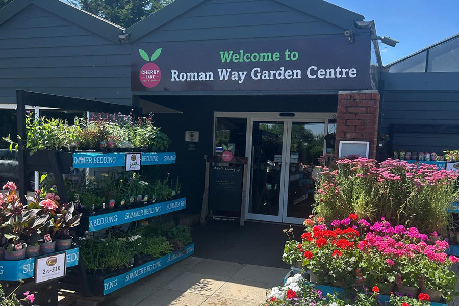 Cherry Lane Roman Way - Towcester